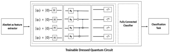 Implementing Magnetic Resonance Imaging Brain Disorder Classification via AlexNet–Quantum Learning