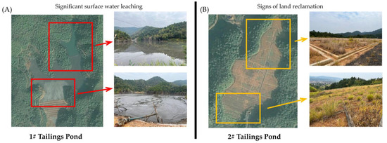 Tailings Pond Classification Based on Satellite Images and Machine ...