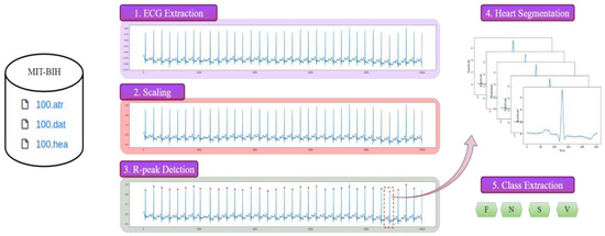 Classifying Cardiac Arrhythmia from ECG Signal Using 1D CNN Deep ...