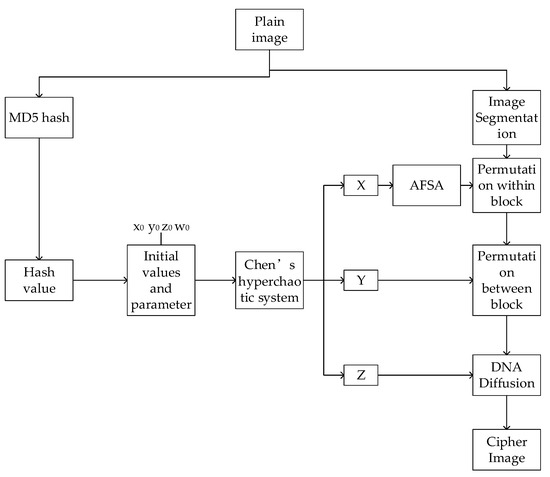 A Chaotic Image Encryption Method Based on the Artificial Fish Swarms Algorithm and the DNA Coding