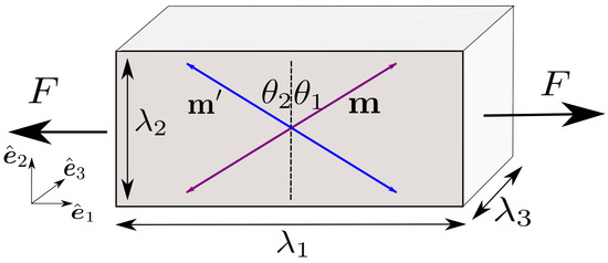Mathematics | Free Full-Text | Anisotropic Hyperelastic Material Characterization: Stability ...