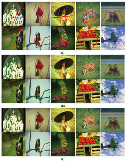 A Fuzzy Plug-and-Play Neural Network-Based Convex Shape Image Segmentation Method