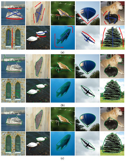 A Fuzzy Plug-and-Play Neural Network-Based Convex Shape Image Segmentation Method