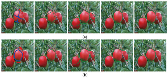A Fuzzy Plug-and-Play Neural Network-Based Convex Shape Image Segmentation Method