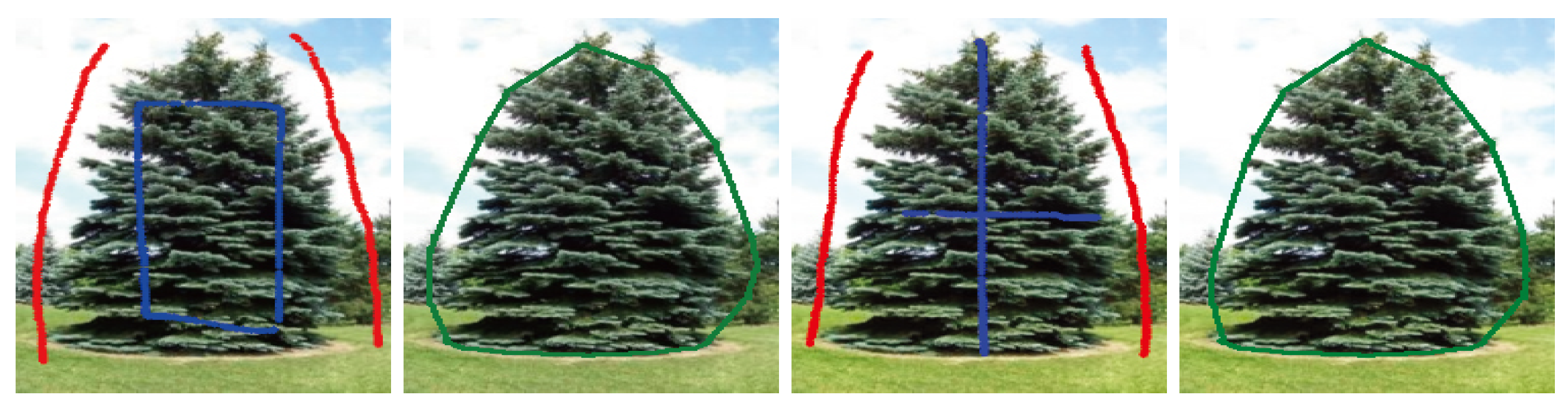 A Fuzzy Plug-and-Play Neural Network-Based Convex Shape Image Segmentation Method