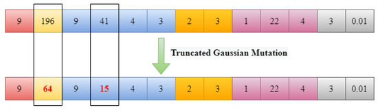 Automated CNN Architectural Design: A Simple and Efficient Methodology for Computer Vision Tasks