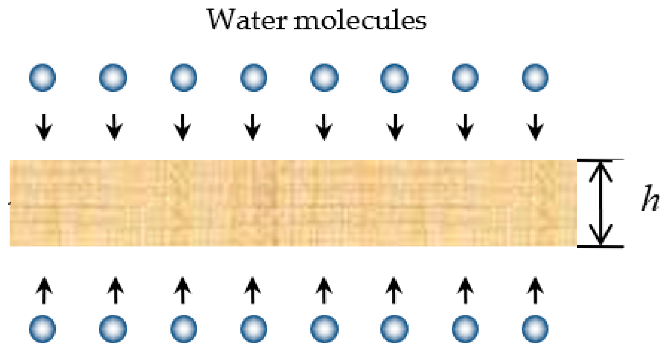 The Two Stage Moisture Diffusion Model for Non-Fickian Behaviors of 3D ...