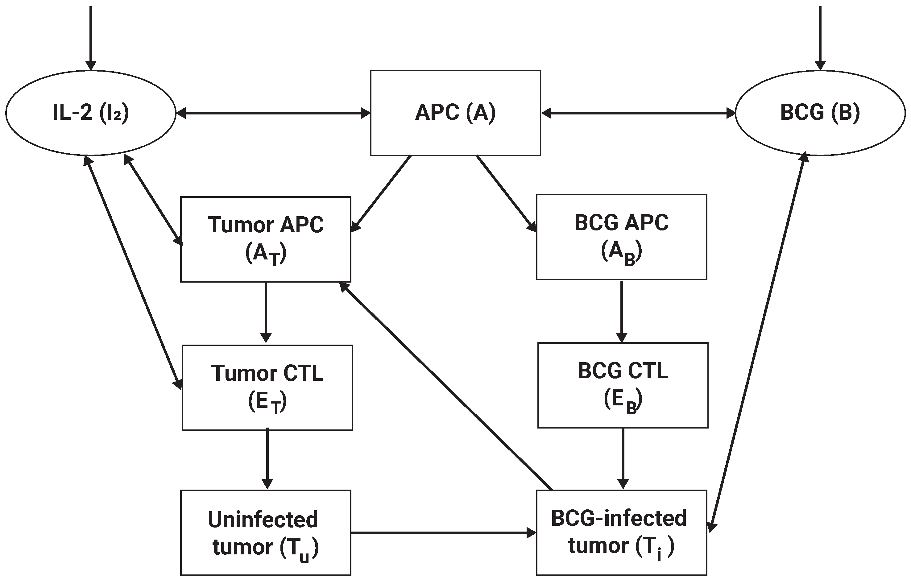 Mathematics Free Full Text Scheduling Bcg And Il 2 Injections For