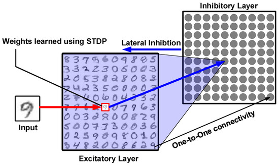 Probabilistic Classification Method of Spiking Neural Network Based on Multi-Labeling of Neurons
