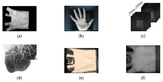 Multiview-Learning-Based Generic Palmprint Recognition: A Literature Review