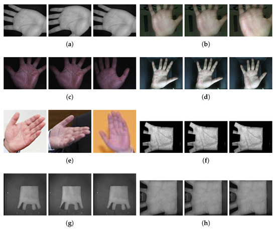 Multiview-Learning-Based Generic Palmprint Recognition: A Literature Review