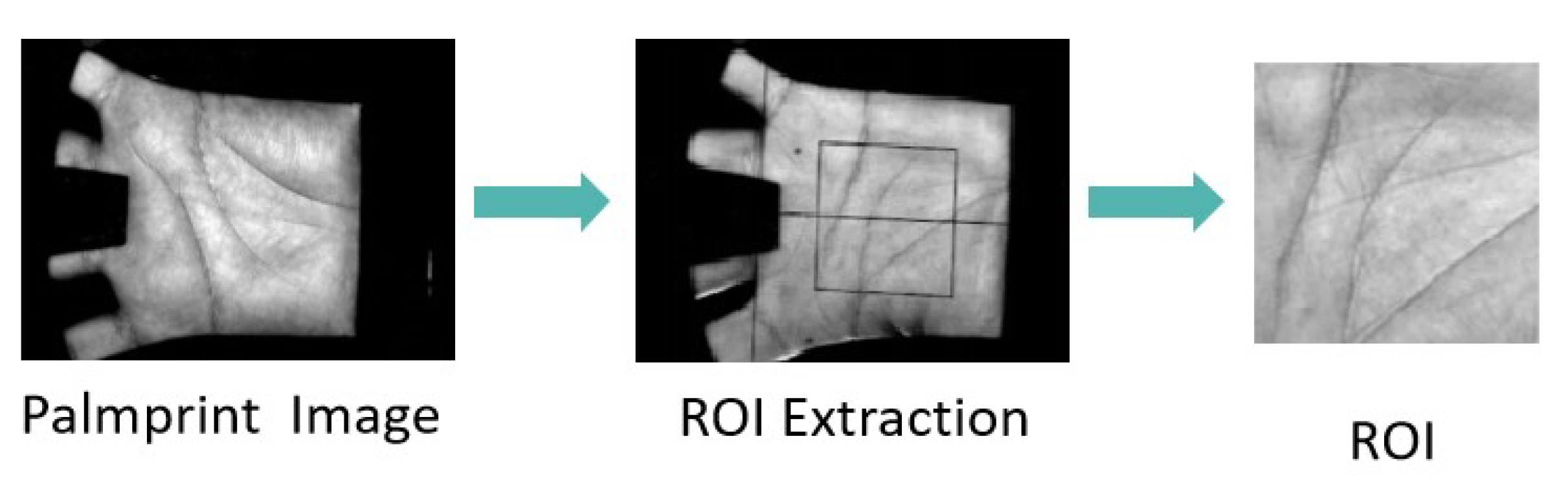 Multiview-Learning-Based Generic Palmprint Recognition: A Literature Review