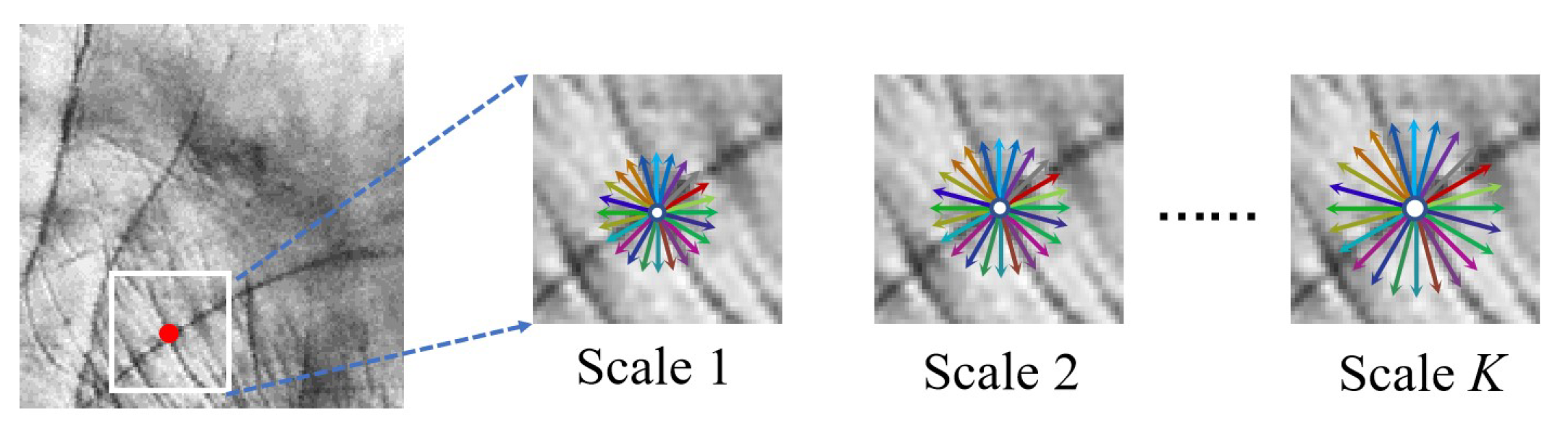 Multiview-Learning-Based Generic Palmprint Recognition: A Literature Review