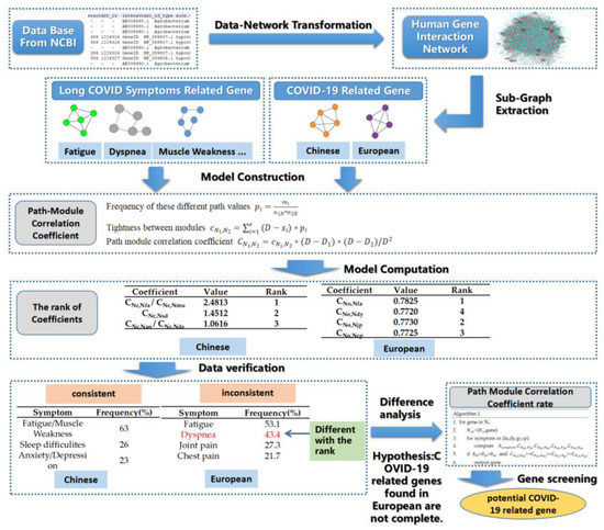 Long-COVID Inducement Mechanism Based on the Path Module Correlation Coefficient