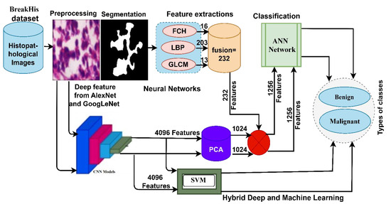 Multi-Method Diagnosis of Histopathological Images for Early Detection ...