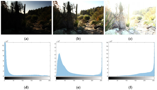 Multi-Task Learning Approach Using Dynamic Hyperparameter for Multi ...