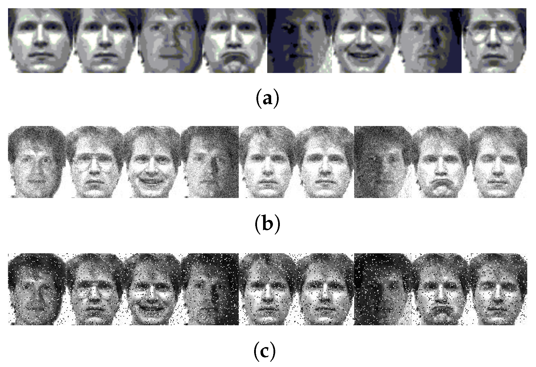 Robust Exponential Graph Regularization Non-Negative Matrix Factorization Technology for Feature ...