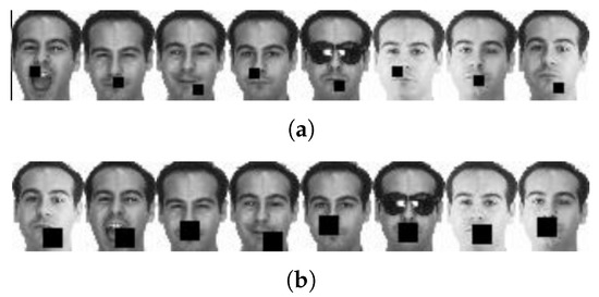 Robust Exponential Graph Regularization Non-Negative Matrix Factorization Technology for Feature ...