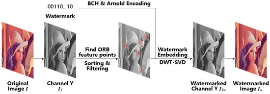 Fast Frequency Domain Screen-Shooting Watermarking Algorithm Based on ORB Feature Points
