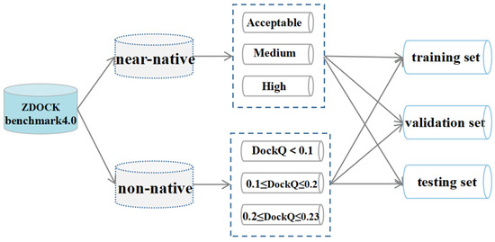 A Point Cloud-Based Deep Learning Model for Protein Docking Decoys ...