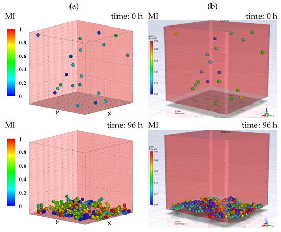 Mathematics | Free Full-Text | Multiple Myeloma Cell Simulation Using ...