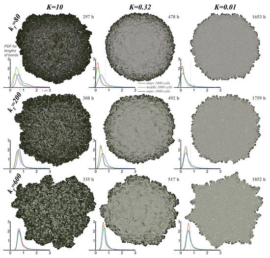 Agent-Based Model for Studying the Effects of Solid Stress and Nutrient ...
