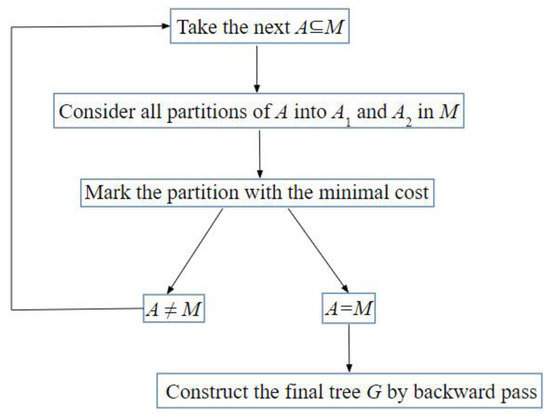 Constructing an Evolutionary Tree and Path–Cycle Graph Evolution along It