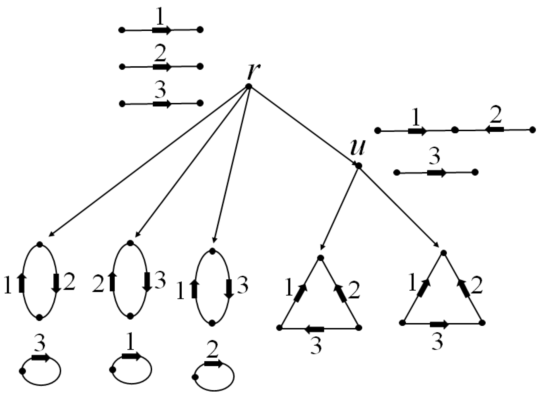 Constructing an Evolutionary Tree and Path–Cycle Graph Evolution along It
