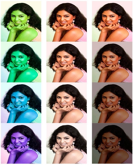 Efficient and Low Color Information Dependency Skin Segmentation Model