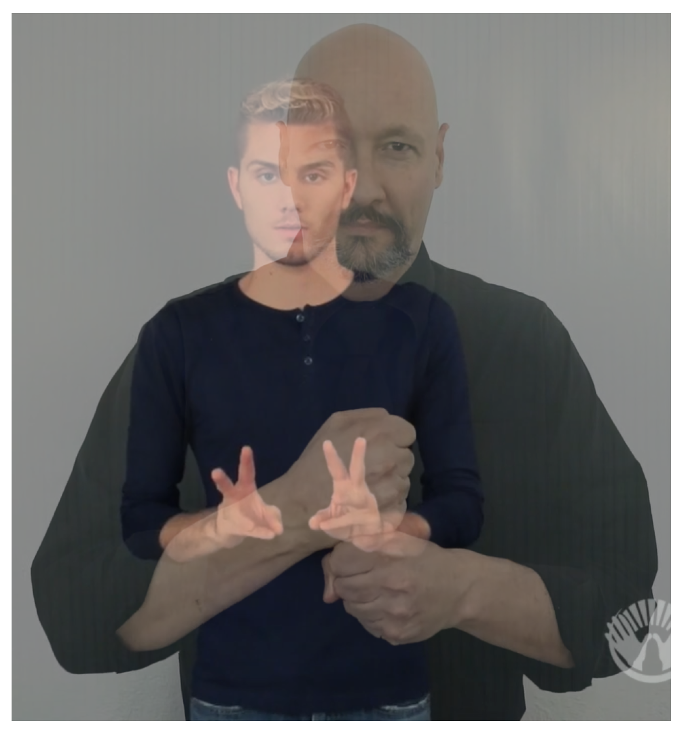 Modelling Sign Language with Encoder-Only Transformers and Human Pose ...