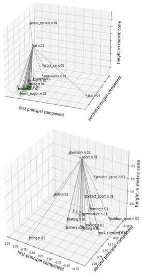 Representing Hierarchical Structured Data Using Cone Embedding