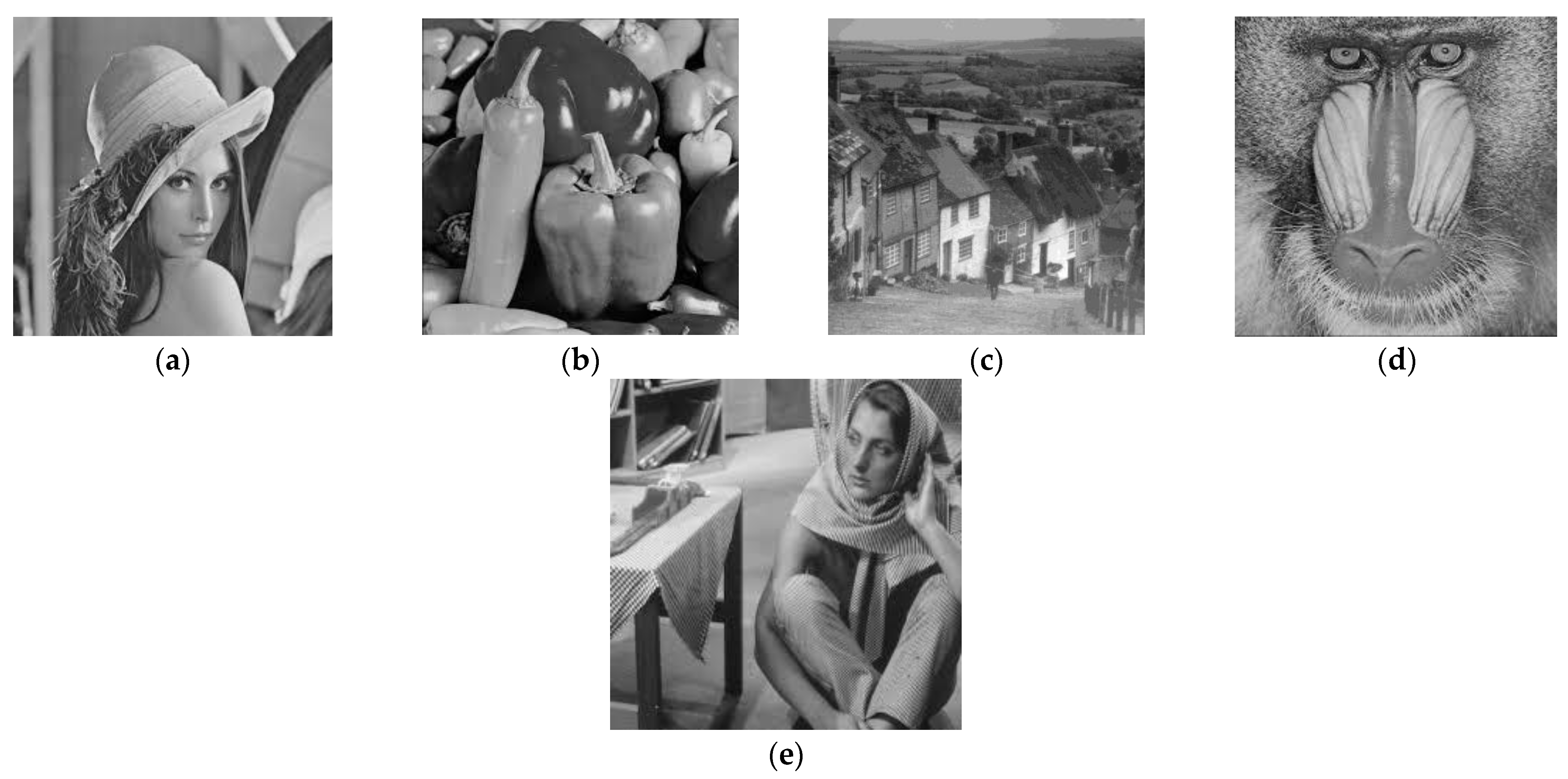 Performance Augmentation of Cuckoo Search Optimization Technique Using Vector Quantization in ...