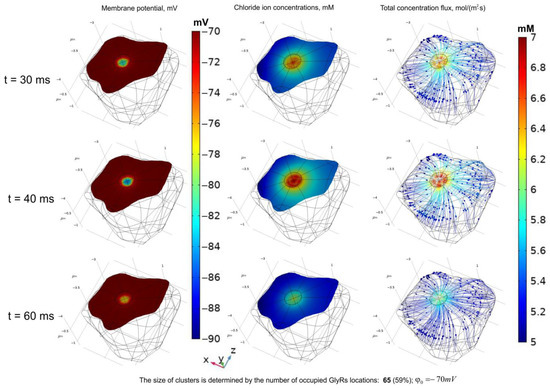 Mathematical Modelling of Physiological Effects Caused by a Glycine ...