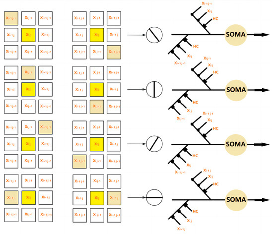 The Mechanism of Orientation Detection Based on Artificial Visual System for Greyscale Images