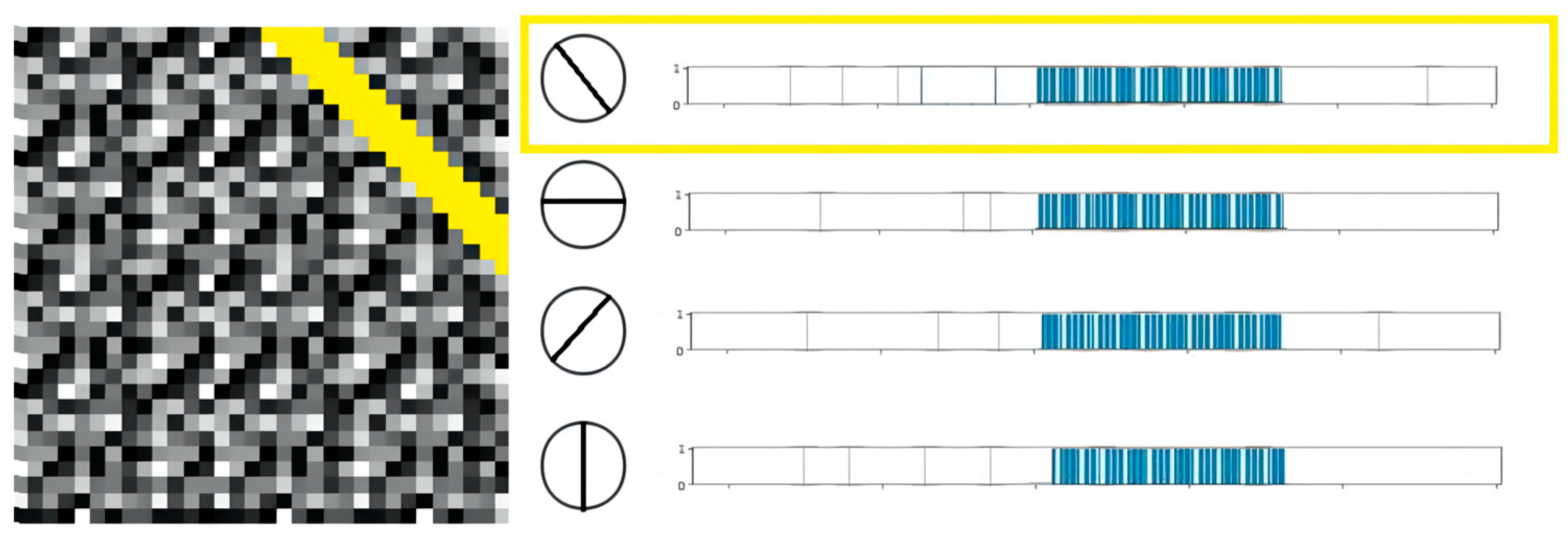 The Mechanism of Orientation Detection Based on Artificial Visual System for Greyscale Images