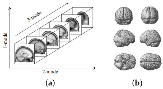 Sparse Support Tensor Machine with Scaled Kernel Functions