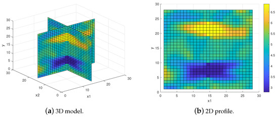 Combination of Multigrid with Constraint Data for Inverse Problem of ...