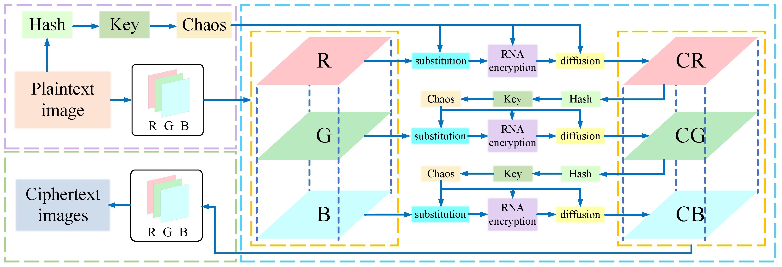 Dynamic RNA Coding Color Image Cipher Based on Chain Feedback Structure