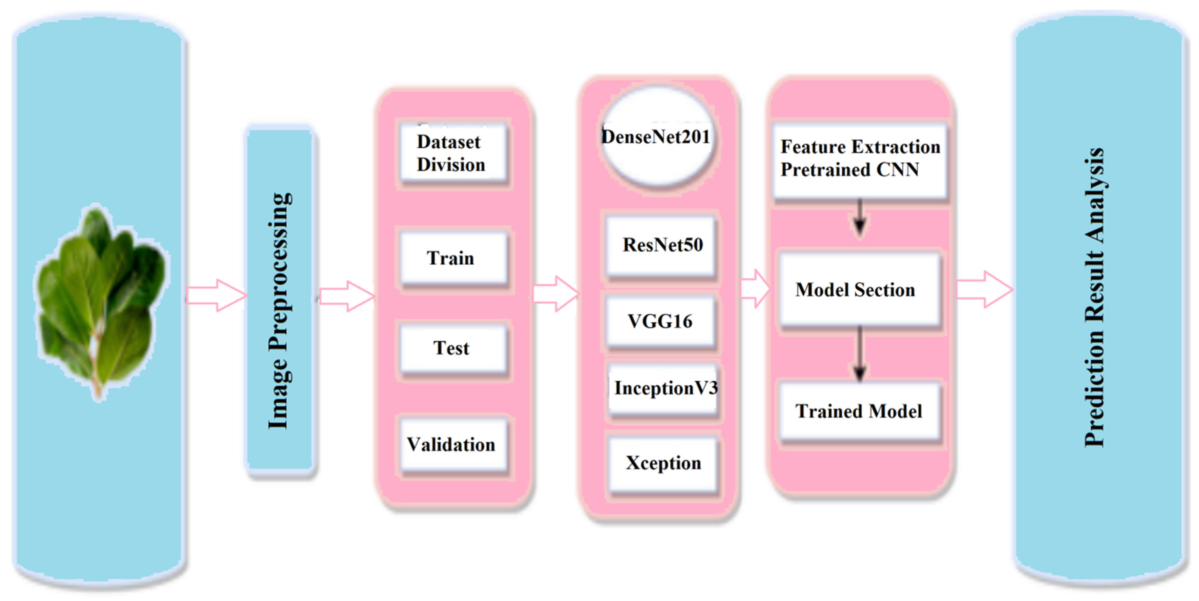 Mathematics | Free Full-Text | Deep-Learning-Based Classification of ...