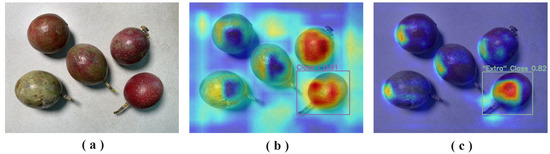 ATC-YOLOv5: Fruit Appearance Quality Classification Algorithm Based on the Improved YOLOv5 Model ...