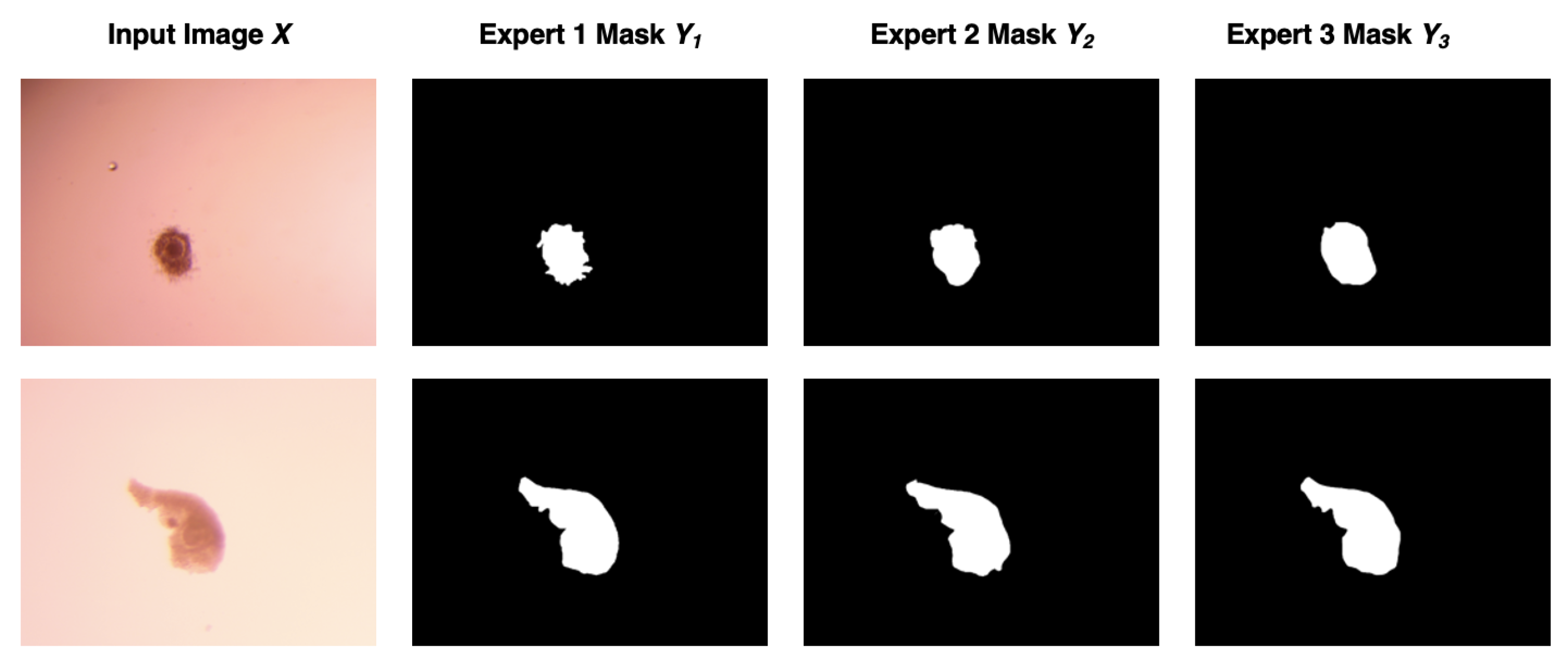 Mathematics | Free Full-Text | Enhancing Medical Image Segmentation: Ground Truth Optimization ...