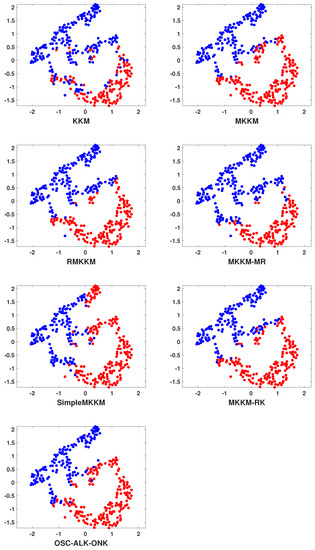 One-Step Clustering with Adaptively Local Kernels and a Neighborhood Kernel