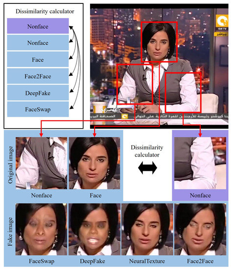 ClueCatcher: Catching Domain-Wise Independent Clues for Deepfake Detection
