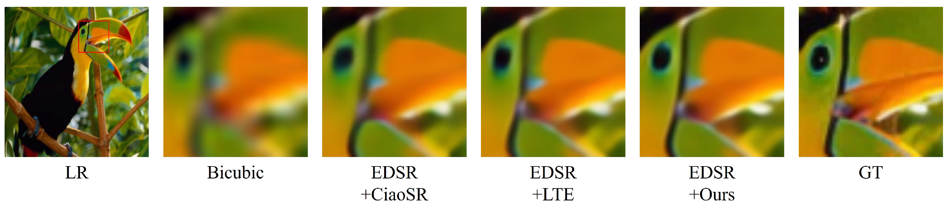 Memory-Efficient Discrete Cosine Transform Domain Weight Modulation Transformer for Arbitrary ...