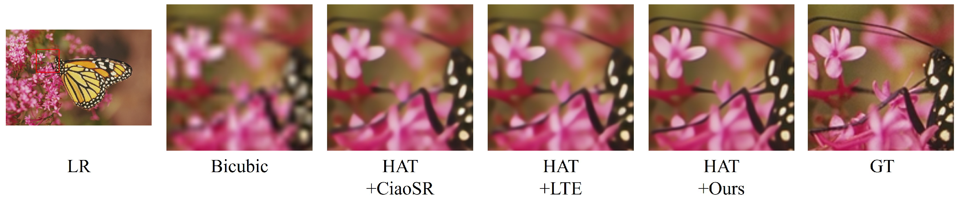 Memory-Efficient Discrete Cosine Transform Domain Weight Modulation Transformer for Arbitrary ...