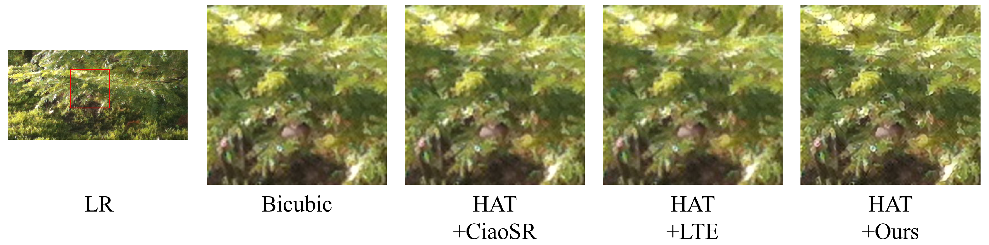 Memory-Efficient Discrete Cosine Transform Domain Weight Modulation Transformer for Arbitrary ...