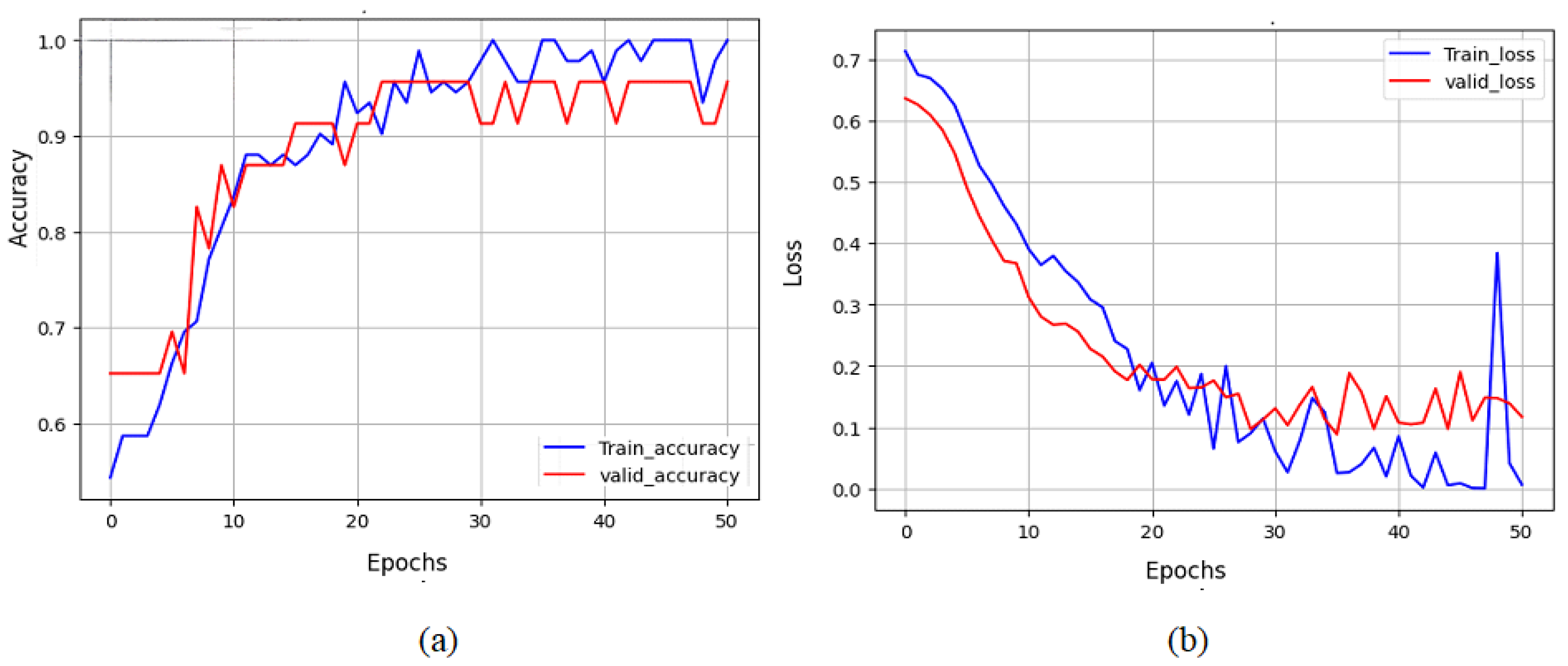 Deep Learning Algorithms for Behavioral Analysis in Diagnosing ...