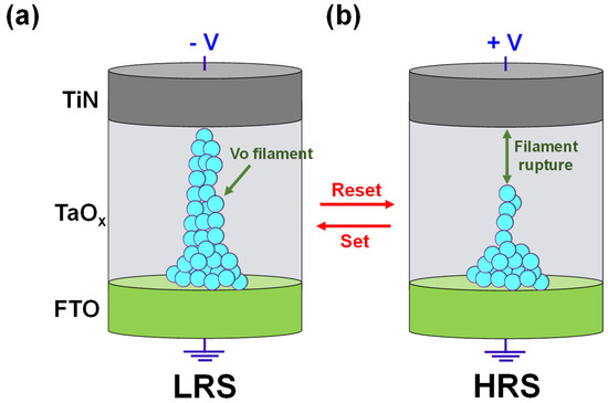 Implementation of Physical Reservoir Computing in a TaOx/FTO-Based Memristor Device
