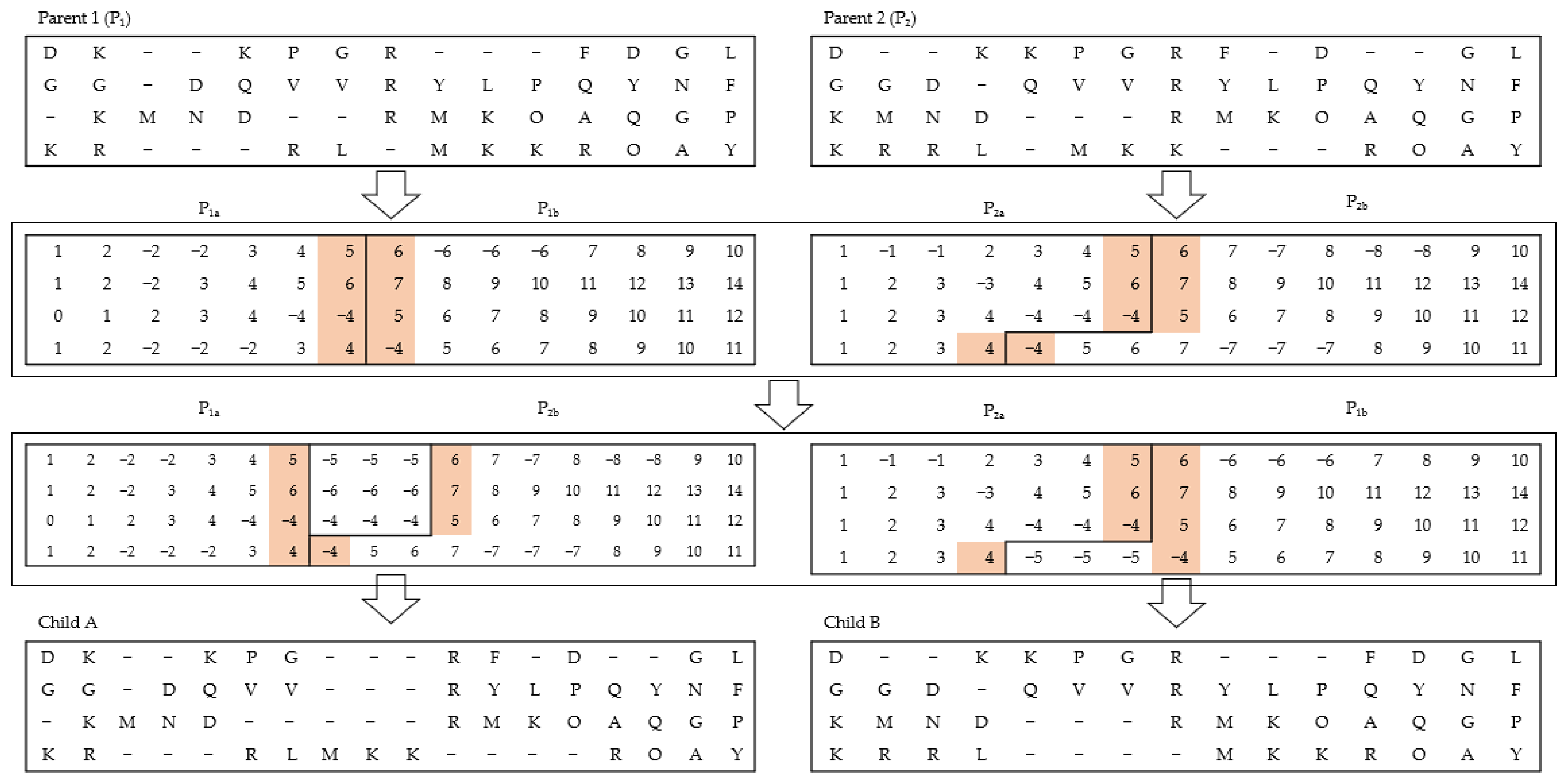 Mathematics | Free Full-Text | Enhanced Genetic Method for Optimizing Multiple Sequence Alignment