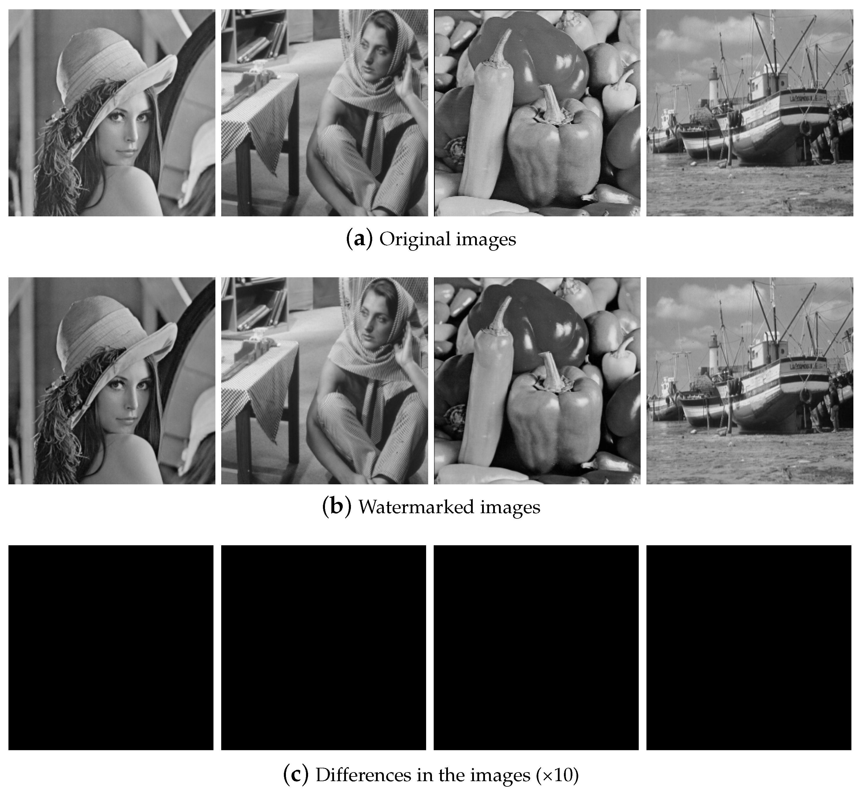 Statistical Image Watermark Algorithm for FAPHFMs Domain Based on BKF–Rayleigh Distribution